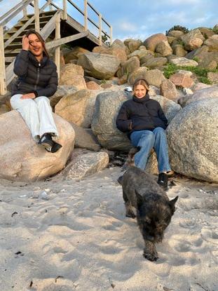 Hundelufter - Anna - Gudog